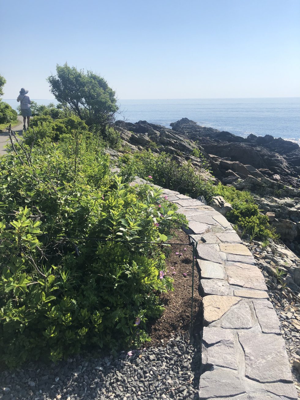 Marginal Way Walkway Trail Reconstruction - Walsh Engineering